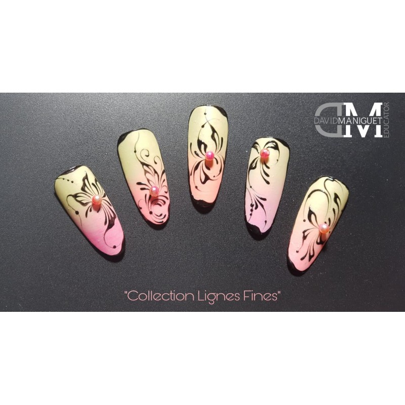 Formation lignes fines